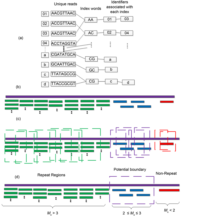 A Complete And Accurate Short Sequence Alignment Algorithm For Repeats