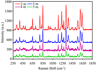 Vibrational Spectroscopy of Pain Relievers: Traditional and Remote ...