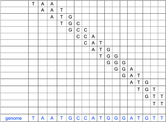 Genome Sequencing Using Graph Theory Approach