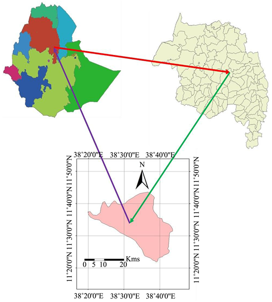 Assessment of Factors Influencing Chocolate Spot (Botrytis fabae ...