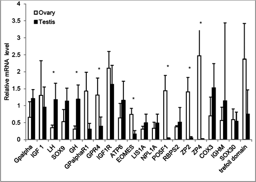 Sex-Based Variation of Gene Expression in the Gonads and Fins of ...