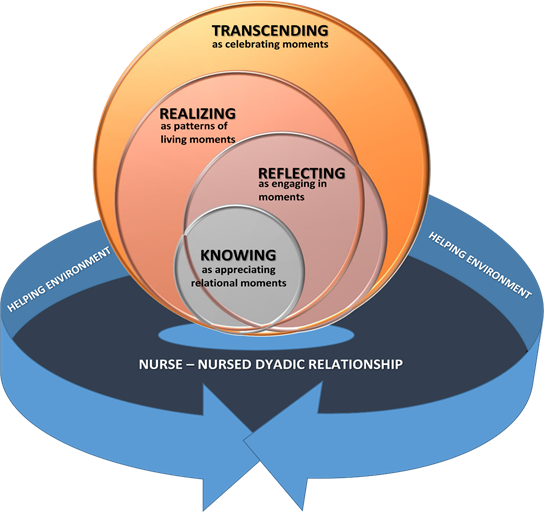 Development of the Emerging Theory of Encountering Nursing in a Nurse ...