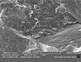 Thermal and Physicochemical Characterization of Fibers from Coffee ...