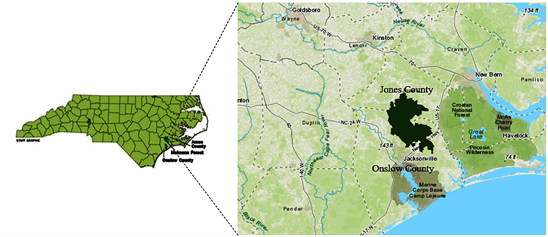Designing a Citizen Science Project for Forest Landscapes: A Case from ...