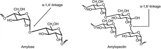 A Methodological Outlook on Bioplastics from Renewable Resources