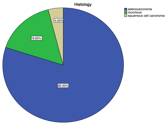 Clinical-Pathological Characteristics of Colorectal Carcinoma and ...