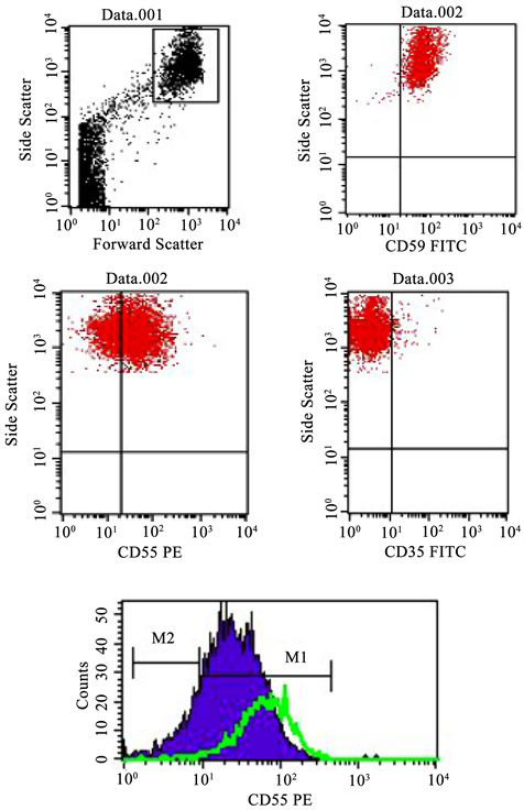 Role of Complement Regulatory Proteins (CD55, CD59, and CD35) on Red ...