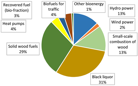 Implementation of National Renewable Energy Obligations at the Regional ...