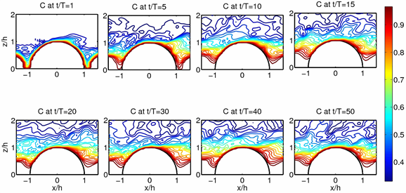Numerical Modeling of Mass Transfer in the Interaction between River ...