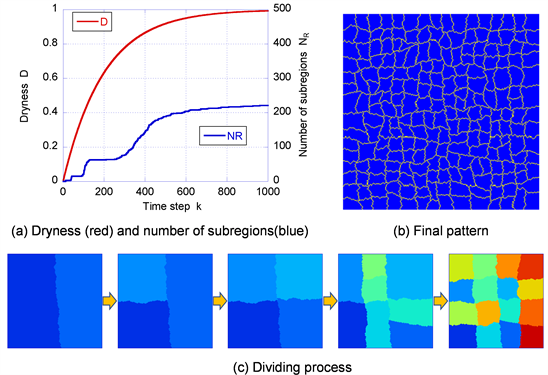 Simulation of Crack Pattern Formation Due to Shrinkage in a Drying Material