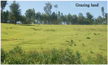 Farmers’ Perception and Indigenous Knowledge for Natural Resources ...