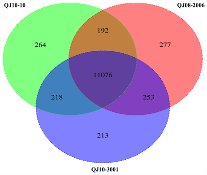 Comparative Analysis of the Genomes of Three Field Isolates of the Rice ...