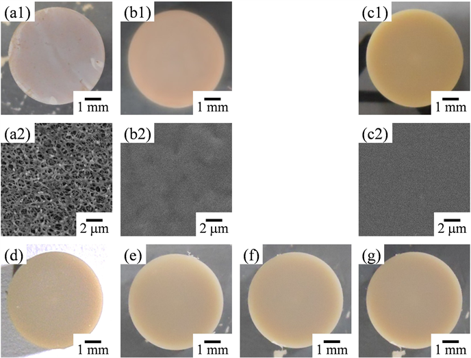 Surface Modification Of Peek And Its Osteoconductivity And Anti