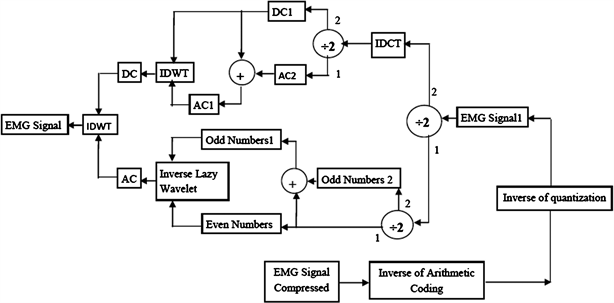 Contribution to S-EMG Signal Compression in 1D by the Combination of ...