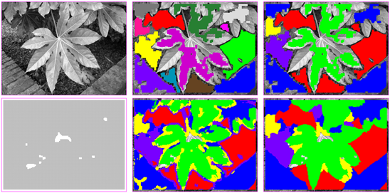 Segmentation of Visual Images by Sequential Extracting Homogeneous ...