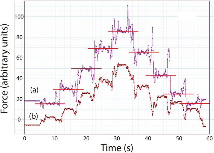 Reaction Forces on a Fixed Ladder in Static Equilibrium: Analysis and ...