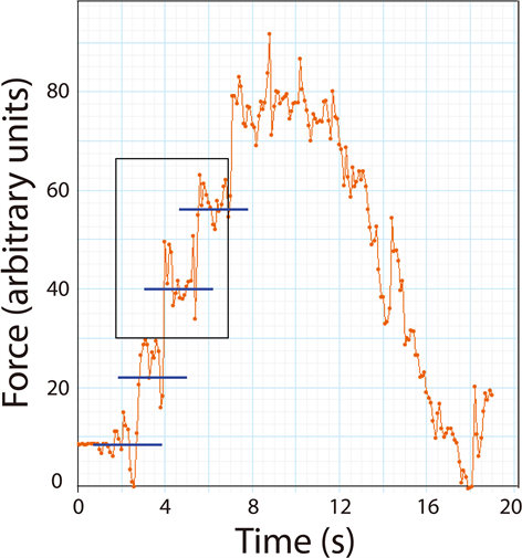 Reaction Forces on a Fixed Ladder in Static Equilibrium: Analysis and ...