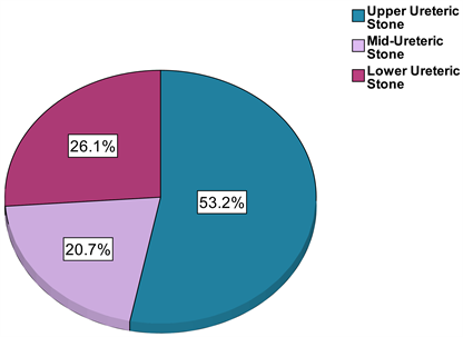 Can Computerized Hounsfield Unit Estimation Be Used as Predictor for ...