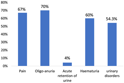 High Urine Retention: Experience in a Series of Patients with Renal ...