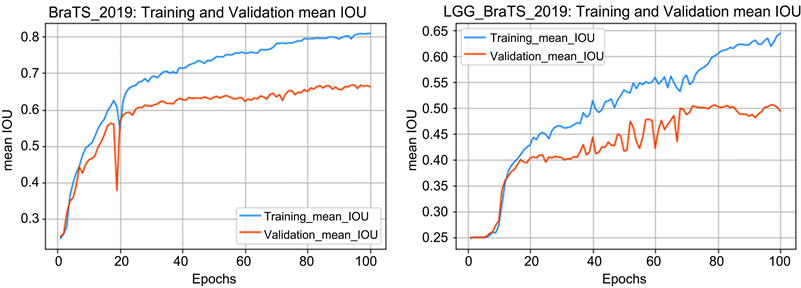 Brain Tumor Segmentation of HGG and LGG MRI Images Using WFL-Based 3D U-Net