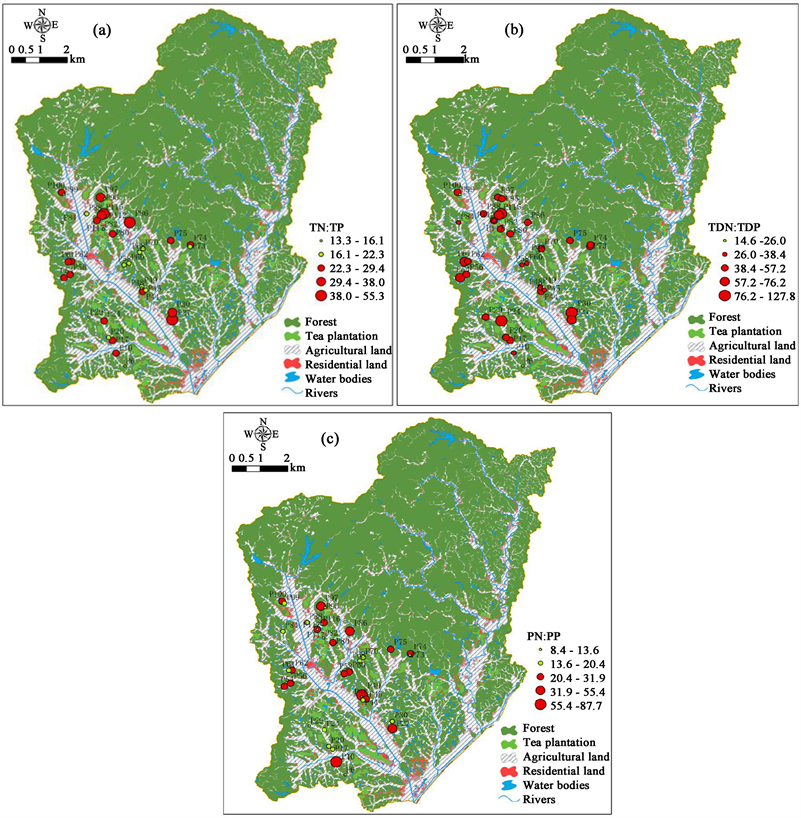 Spatio Temporal Patterns Of Nitrogen And Phosphorus Stoichiometry In