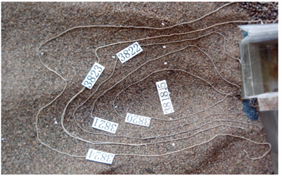 Experimental Investigation on the Shape and Depth of Local Scour Hole ...