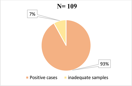 Epidemiological Facies of Human Rabies Deaths in Côte d’Ivoire from ...