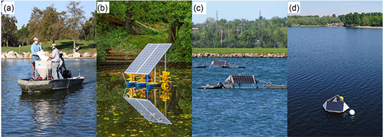 Dealing with Cyanobacteria and Cyanotoxins: Engineering Viewpoints