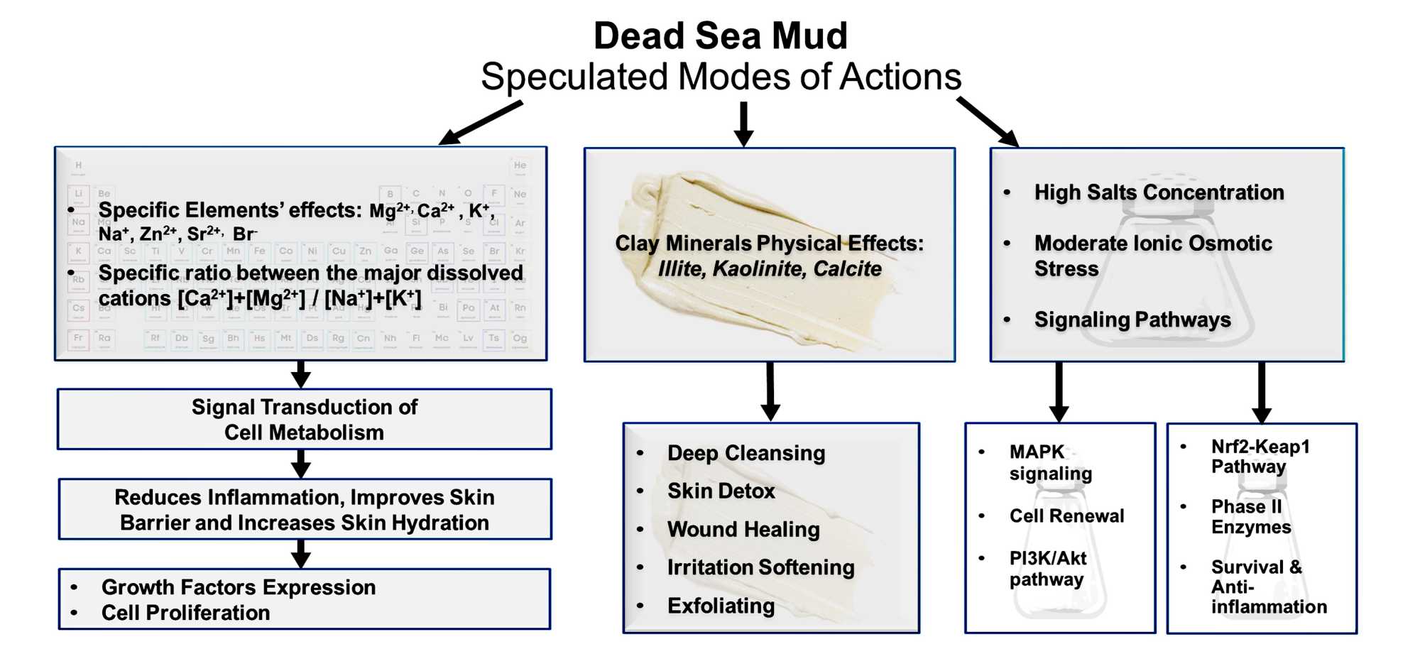 Formulating Dead Sea Mud in Cosmetic Products, Its Effects on Skin, and ...