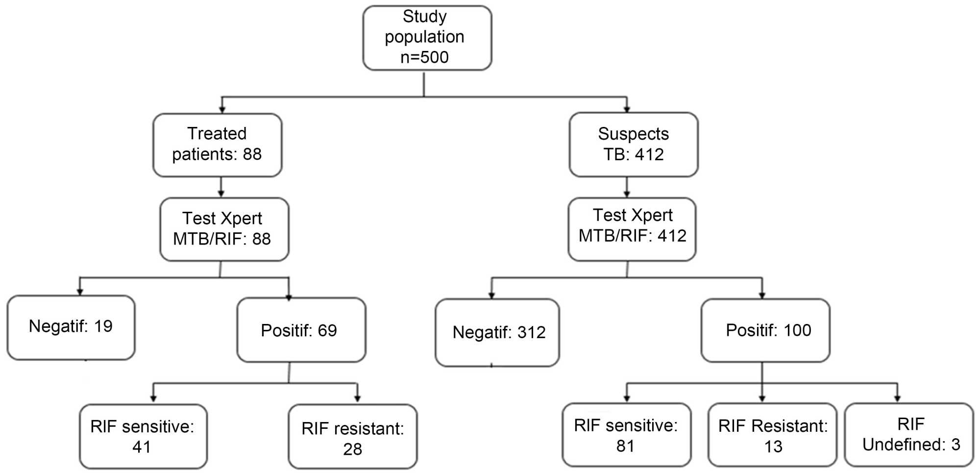 Molecular Detection of Multidrug-Resistant Tuberculosis Reveals High ...