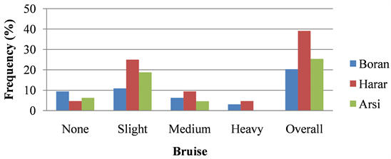Level of Bruising and DFD Carcasses from Bulls of Arsi, Boran and Harar ...