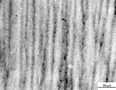 Weld Metal Dendritic Structure Modification by Dispersed Refractory ...