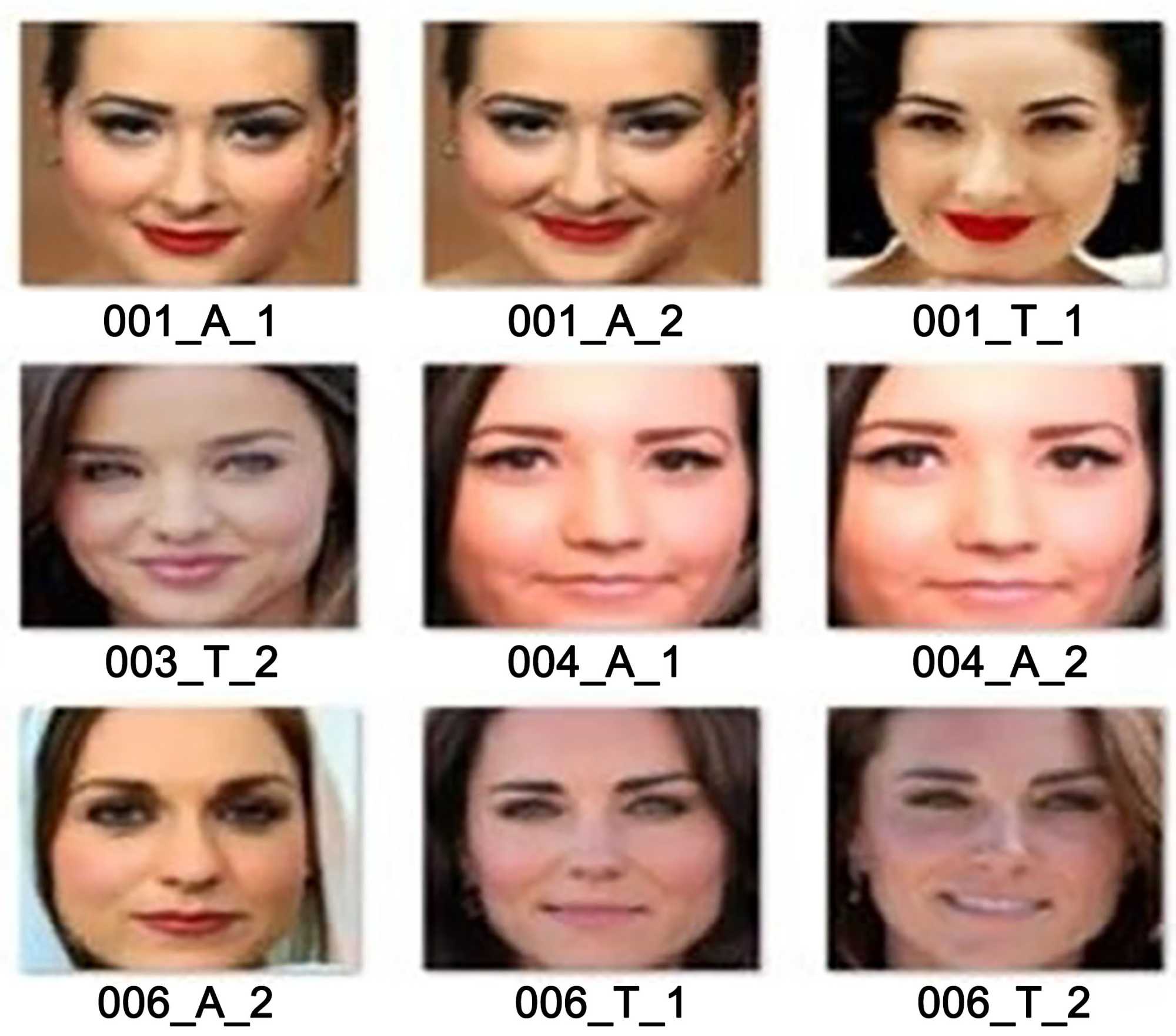 Texture Analysis for Makeup-Free Biometrics: A Solution for Imposture ...