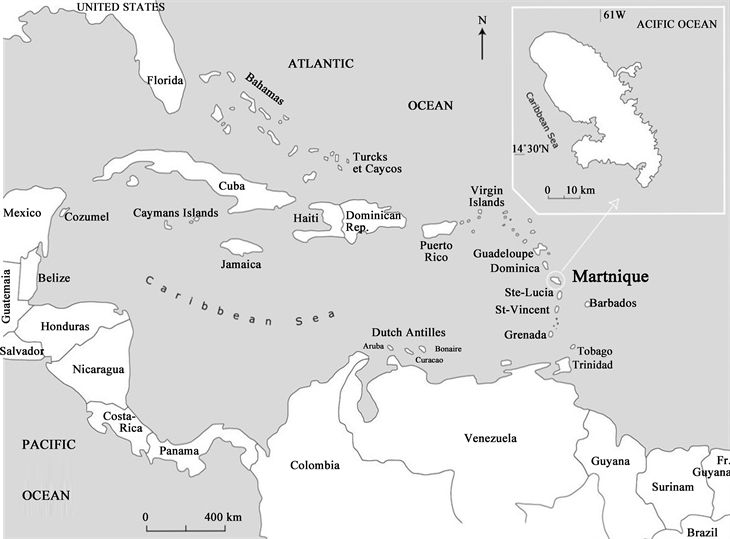 Natural Regeneration of Indigenous Species under Plantation Forests of ...