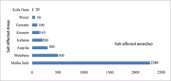 Impacts of Soil Salinity on Irrigation Potential: In the Case of Middle ...