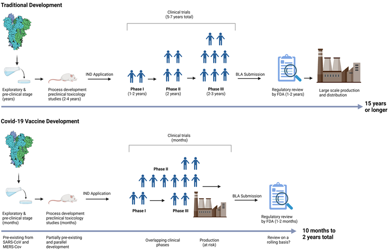 COVID-19 Vaccine: Review of the Mechanism of Action of Different Types ...