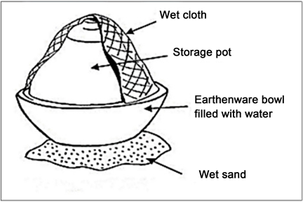 Handling Strategies and Facilities for Horticultural Crops