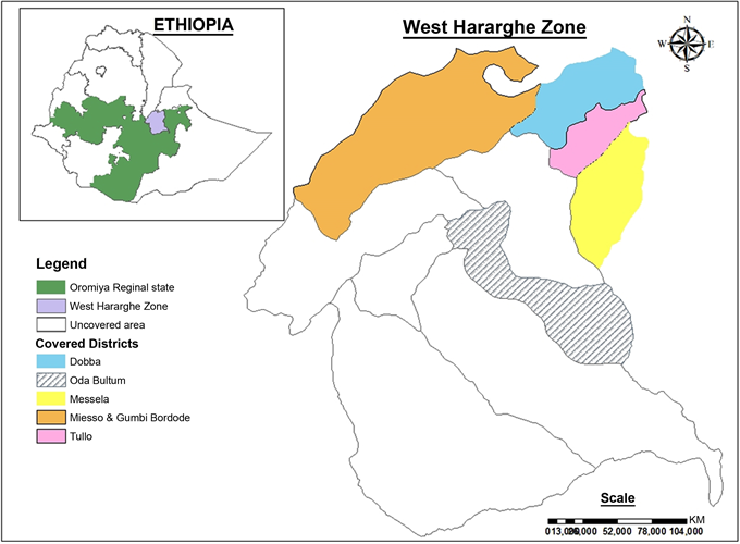 Milk Production Performance, Challenges and Opportunities of Dairy ...