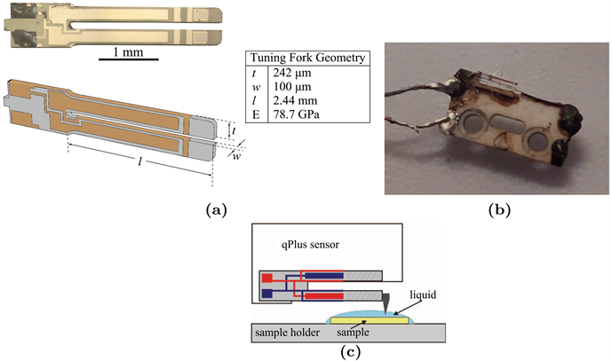 Compensation of Parasitic Capacitance of Quartz Tuning Fork in AFM