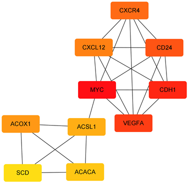 Identification of Hub Genes in Prostate Cancer by Bioinformatics Analysis