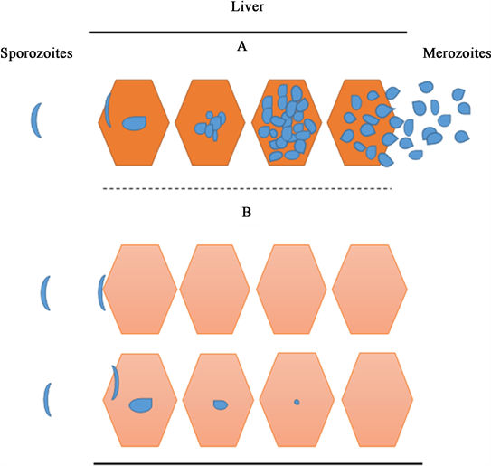 Antiviral Theory Might Help to Develop Drug-Resistance-Free ...