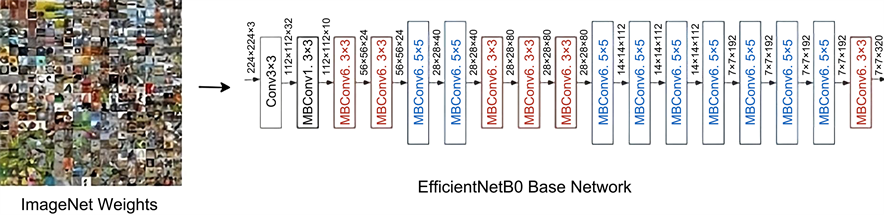 Human Trafficking Detection System Using EfficientNet Model