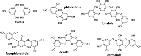 Phlorotannins from Brown Algae as a Sustainable Aquatic Feedstock for ...
