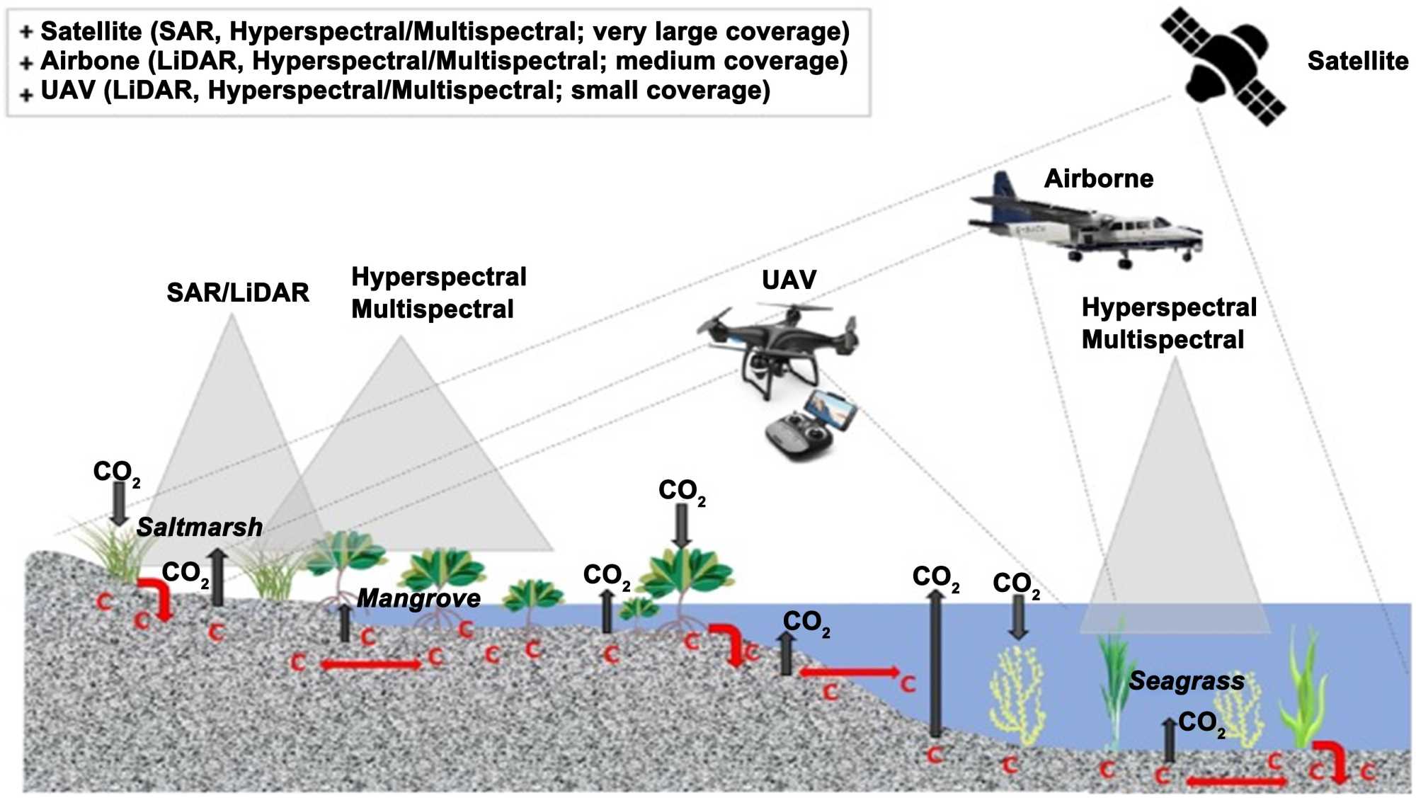 Web Based Platform And Remote Sensing Technology For Monitoring