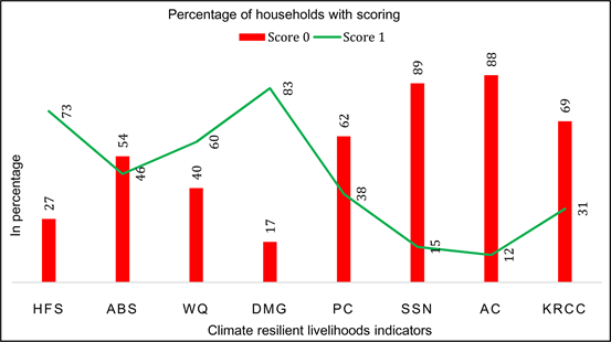 A Nationwide Approach on Measuring Households’ Resilience by ...