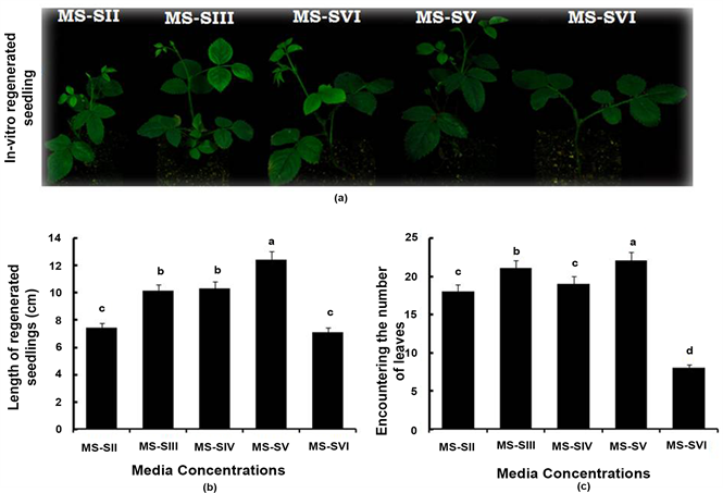 Proliferation, Multiplication and Improvement of Micro-Propagation ...