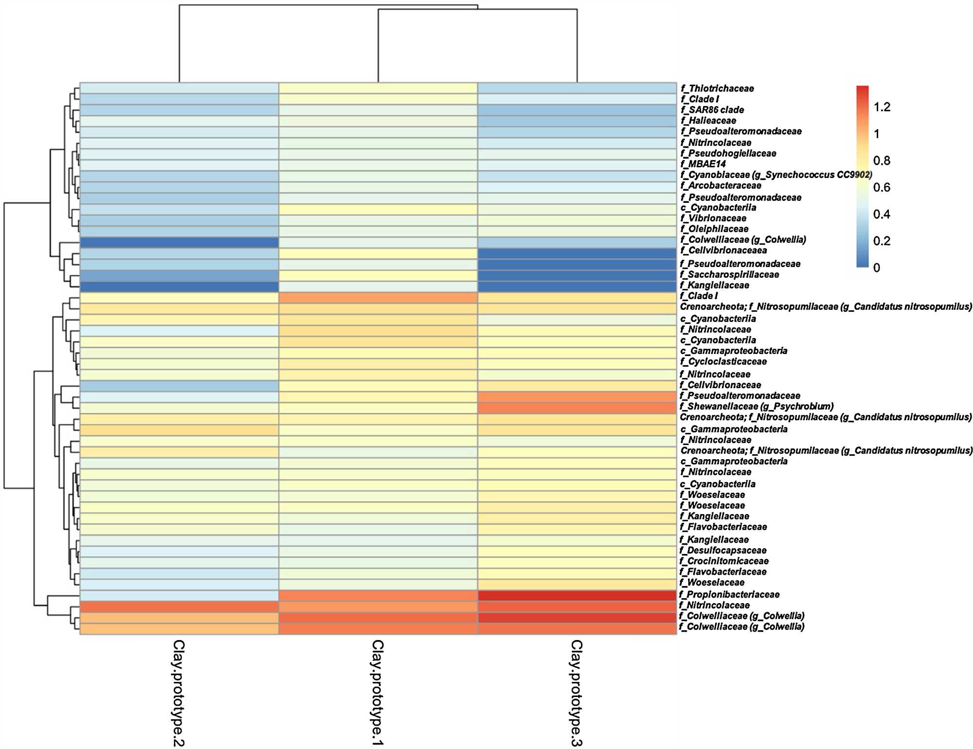 Assessing the Potential of Innovative Clay Designs for Enhancing Oyster ...