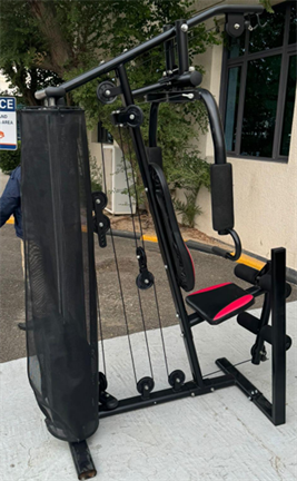 Eco-Energy: Design of Green Gym Equipment