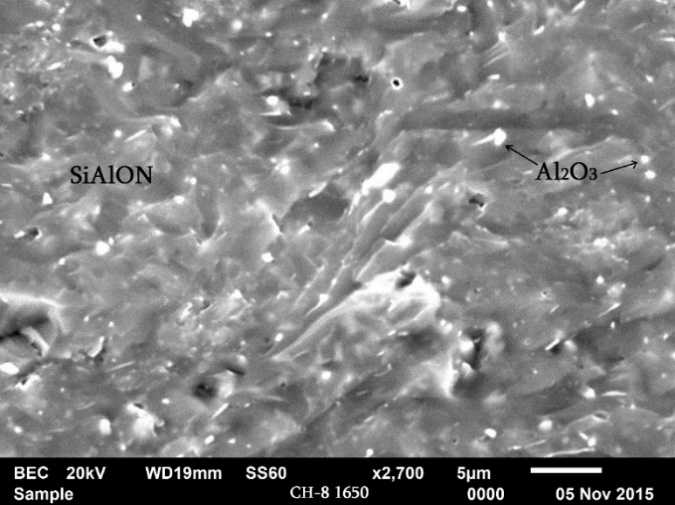 Multifunctional Smart Nanocomposite Based on Aluminum Oxide Nanopowder ...