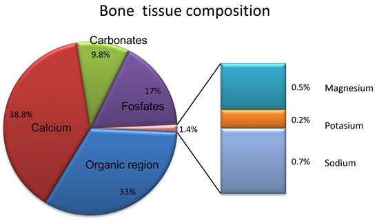 Synthesis and Characterization of a Polymeric Material Blended to Bone ...